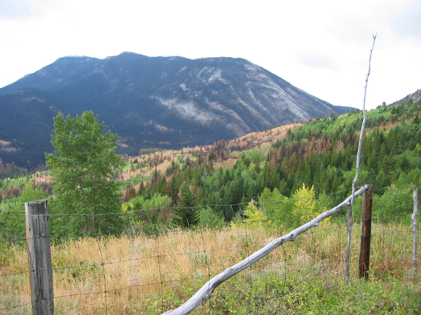 111 1151 Img Copy Rsread Consulting Inc